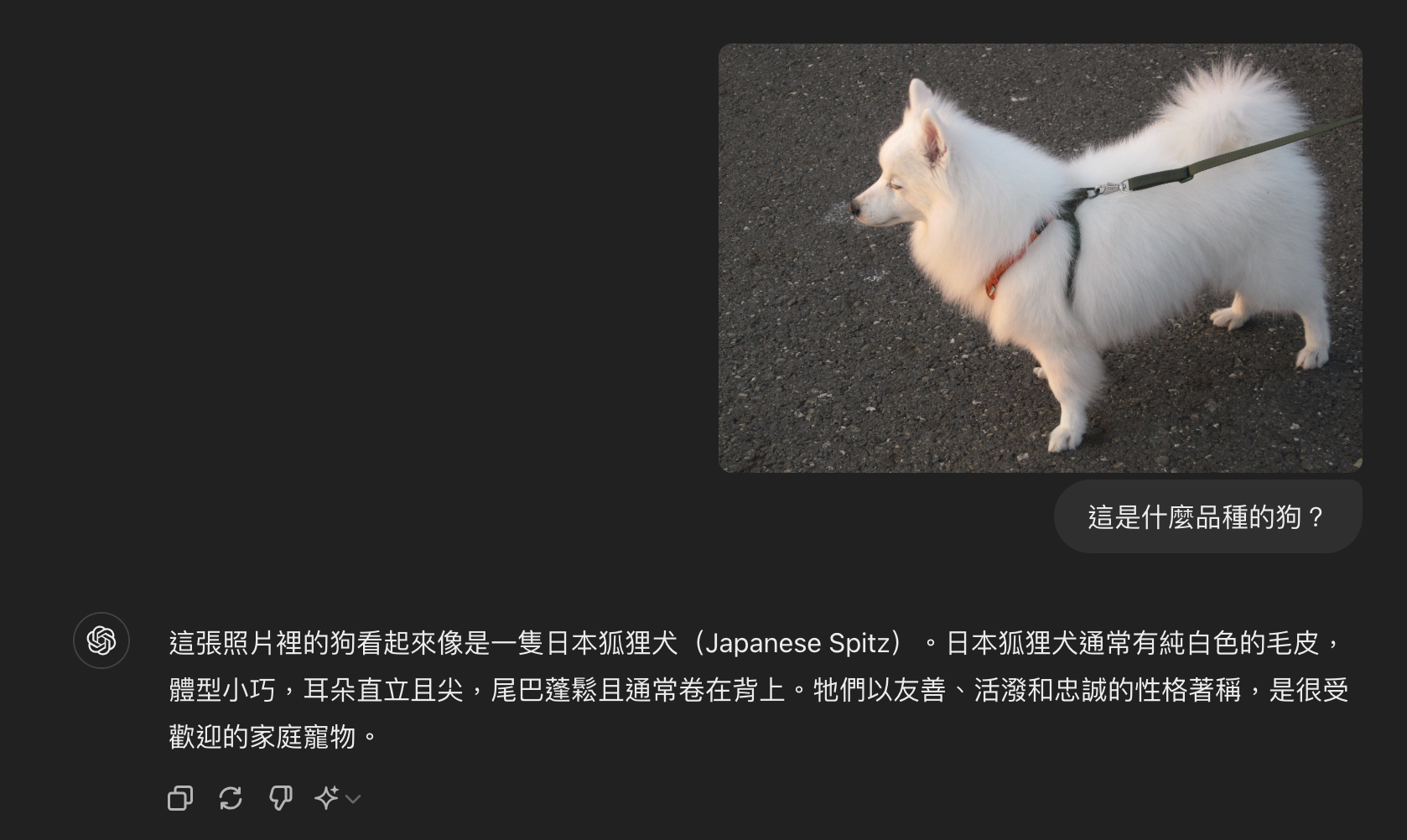 如何運用 ChatGPT-4 新的圖像輸入功能？ | Learn AI